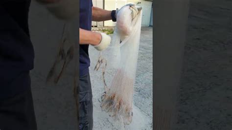 투망강습~1투망을 내몸에 맞추는것~ Youtube