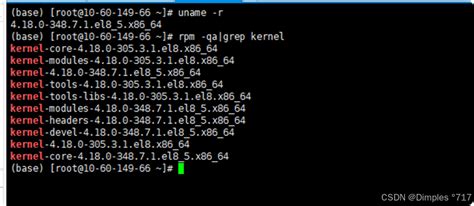 centos 8 4 64位安装nvidia gpu显卡驱动 centos8安装nvidia显卡驱动 csdn博客