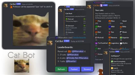 cat bot discord app directory