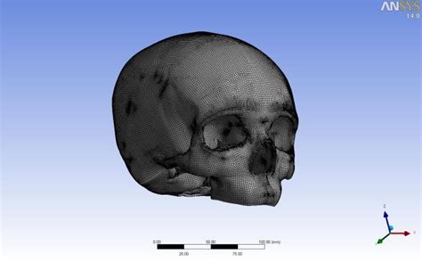 Computational Model Mesh Generated In Ansys® 140 Software Download
