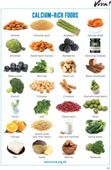 Foods High In Calcium For Osteoporosis At Leo Dartnell Blog