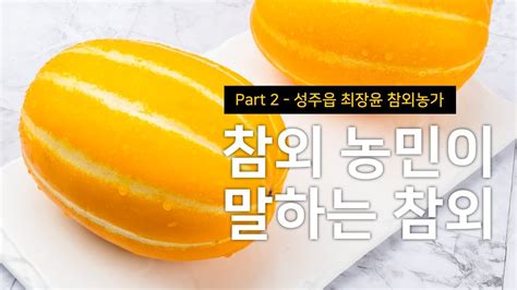 더기반 알찬꿀 참외 재배자가 말하는 참외재배기술 Youtube
