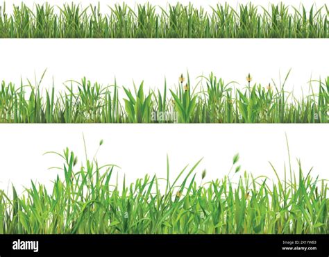 Grasses Golf Stock Vector Images Alamy