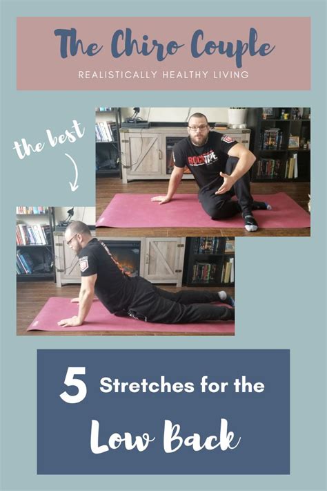 5 Easy Mobility Exercises For The Low Back Lower Back Exercises