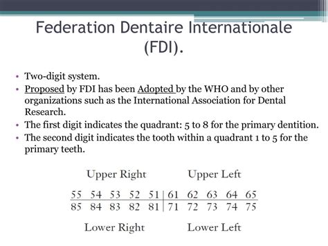 Tooth Numbering Systems Major Dental Notations 51 Off