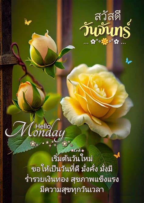 สวัสดี วัน จันทร์ 💛 Hello Monday