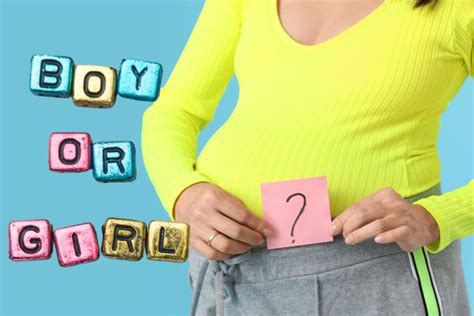 Aplicativos Para Descobrir O Sexo Do Beb Conhe A Os Melhores