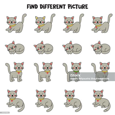 다른 사람들과 다른 회색 고양이를 찾으십시오 아이들을위한 워크 시트 0명에 대한 스톡 벡터 아트 및 기타 이미지 0명 가축