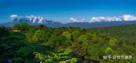 什么是世外康养式度假式居家康养? 知乎 什么是世外康养式度假式居家康养? 知乎