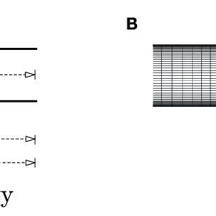 A The Schematic Geometry And B A Portion Of Grid System X Y Download Scientific