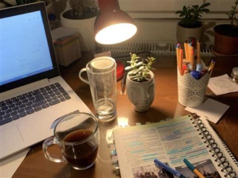 Defeat Procrastination By Following These Simple Steps North Star News