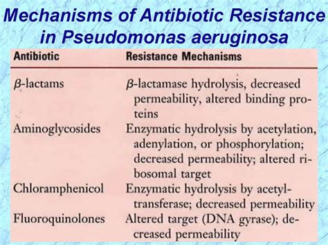 Combination Antibiotic Therapy For Pseudomonas Aeruginosa At Ann Swarts Blog