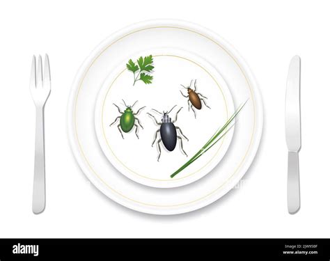 Eating Bugs Insects Beetles Noble Fine Porcelain Crockery Nicely Prepared With Three Tasty