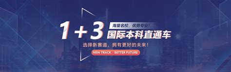 四川托普信息技术职业学院 国际教育学院