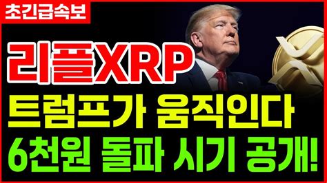 리플xrp 전망 트럼프가 움직이기 시작했습니다 리플 6천원 돌파시기 공개 Youtube