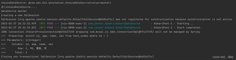 Mybatis Plus动态数据源mybatisplus 动态数据源 Csdn博客
