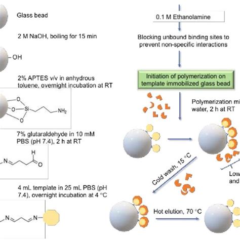 Detailed Schematic Of Solid Phase Synthesis Of Nanomips For Sars Cov 2