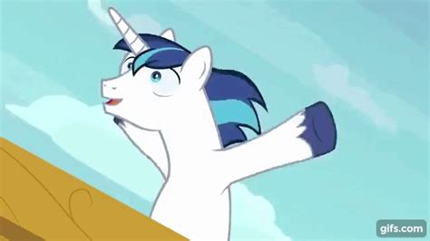 Rule 63 Shining Armor