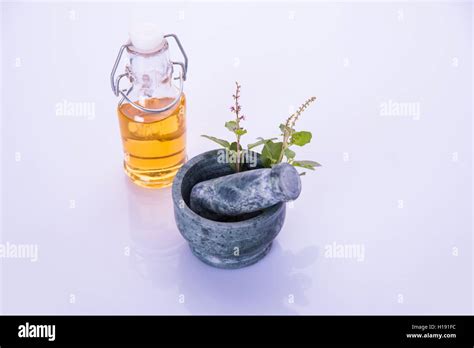 Tulsi Oil Or Holy Basil Oil With Mortar And Pestle Tulsi Or Holy Basil