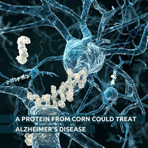 Dr Shailesh Kumar Posted On Linkedin