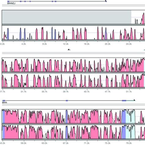 The Transverse Gap Figure 2 The Longitudinal Gap Figure 3 Holes Download Scientific