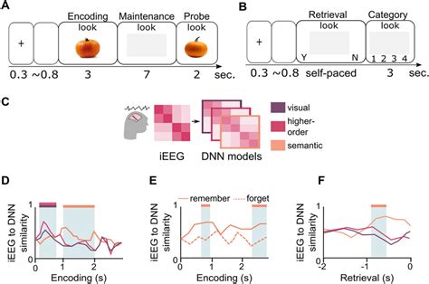 Representational Formats During Visual Short Term Memory Maintenance Download Scientific