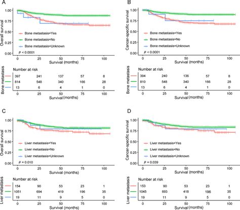 Kaplan Meier Curves For Os And Css In Nb Patients With A Single Site Of Download Scientific