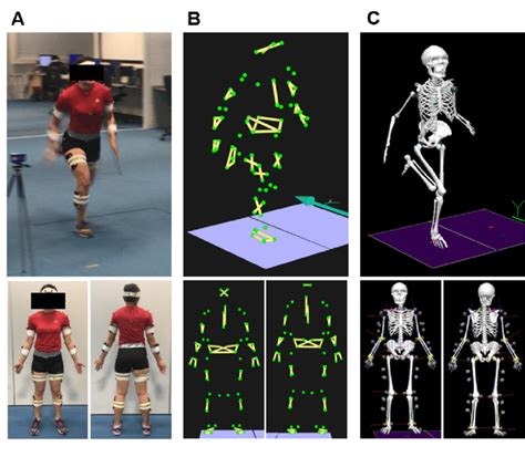 1 A A Seventy Six Retroreflective Marker Set Was Attached To Download Scientific Diagram