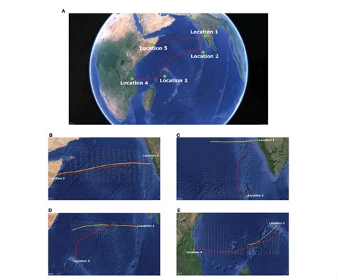 Transoceanic Migration Route With Active Wind Compensation Contrasted Download Scientific