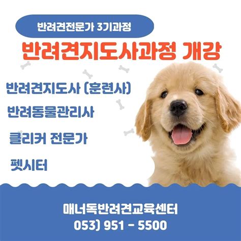 매너독 반려견교육센터 반려견전문가 과정 3기 시작 열화와 같은 성원에 힘입어 반려견지도사과정 Facebook