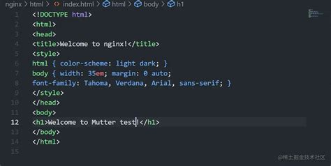手把手教你在docker中使用nginx用docker开启nginx容器，方便你快速开启一个nginx服务，并能够快速配 掘金