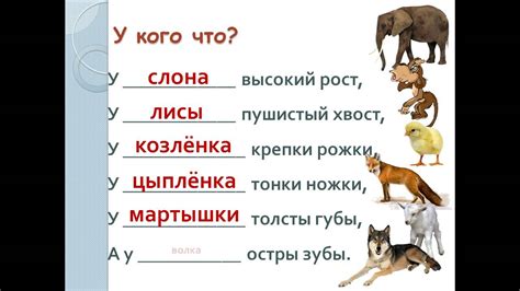 презентация части речи 1 класс Youtube