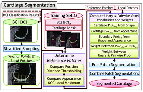 Flowchart Of The Proposed BCI Classification Process Download Scientific Diagram