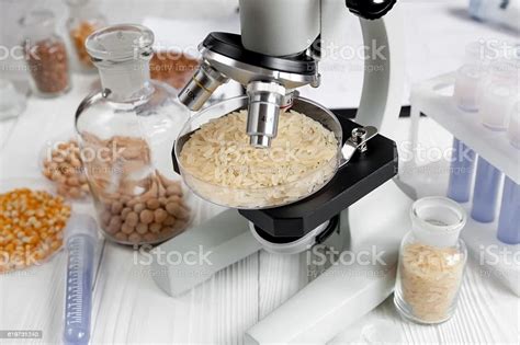 Pesticide Testing Laboratory Service At ₹ 5000 Sample In Coimbatore Id 2849613937812