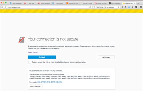Ken Felix Security Blog Cn And Subject Alternative Names In Ssl Tls Certificates
