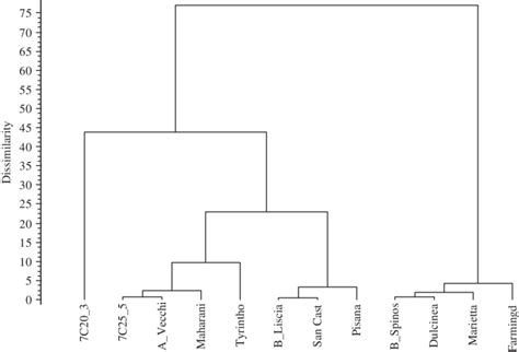 Dendrogram By Wards Method Resulting From Cluster Analysis Download