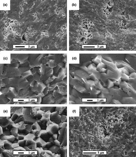 Sem Micrographs Of The Fracture Surfaces Of The Samples Prepared At