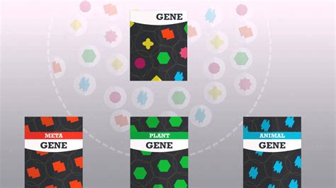 Omics Analysis Of Mouse Brain Models Of Human Diseases Imetronic