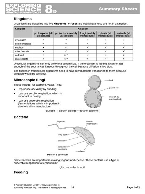 8d Summary Sheets Pdf Cell Biology Bacteria