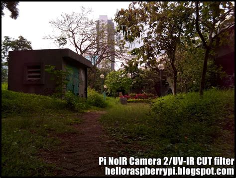 raspberry pi noir camera v2 filter test piday raspberrypi raspberry pi adafruit industries