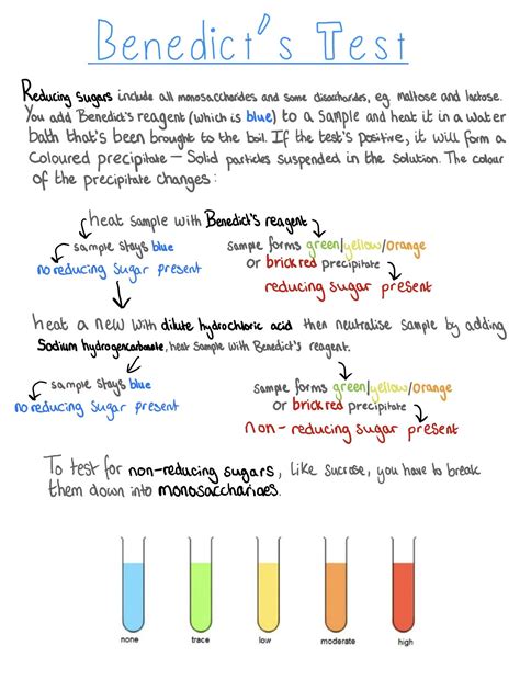 Benedicts Test For Sugars In A Level Biology