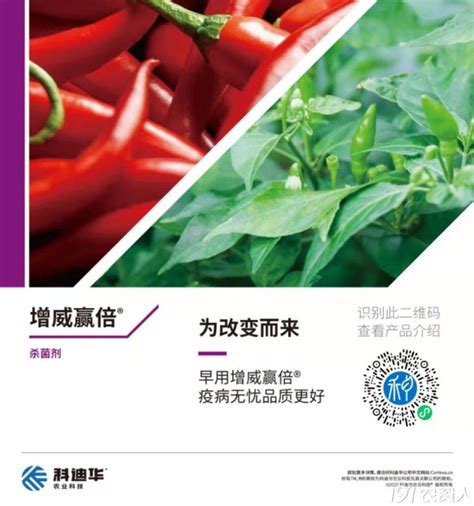 蔬菜专场 防番茄早疫病 晚疫病赶早不赶晚 行业聚焦 191农资人 农技社区服务平台 触屏版