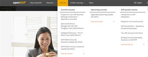 Important Learning Resources For Sap Developers Discovering Abap