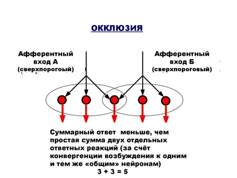 Нейромедиаторы. Классификация медиаторов - online presentation