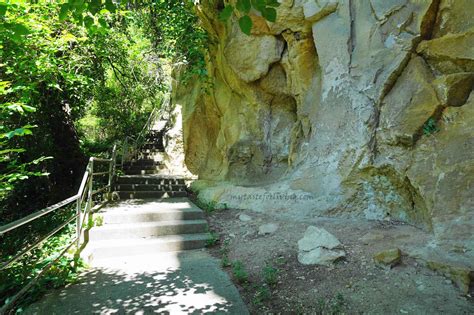 Средновековен град и крепост Червен