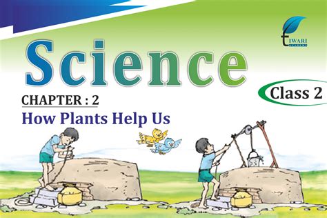 Ncert Solutions For Class 2 Science Chapter 2 How Plants Help Us