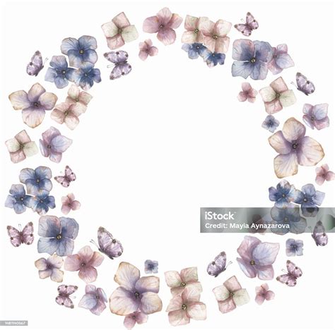 수채화 파란색과 보라색 수국 꽃과 고사리 화환 꽃다발 그림 손으로 그린 정원 꽃 프레임 클립 아트 꽃 구성 0명에 대한 스톡 벡터 아트 및 기타 이미지 Istock