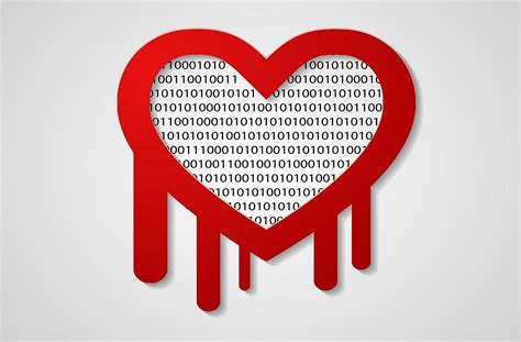 Thm — Heartbleed Ctf Walkthrough Exploit Cve 20140160 With Ease By Adam Pollock Medium