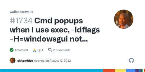 Cmd Popups When I Use Exec Ldflags Hwindowsgui Not Effective · Wailsapp Wails · Discussion