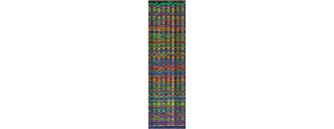 Scaling Biological Bar Coding Fit